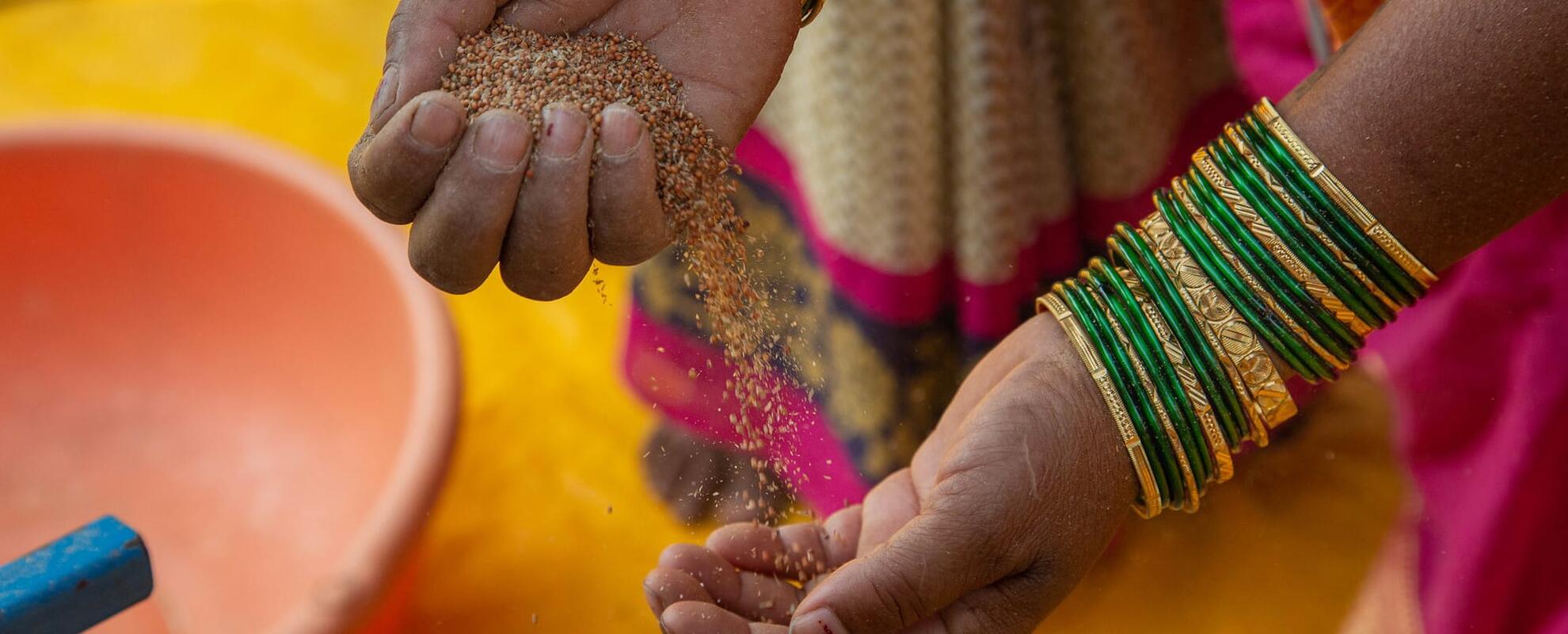 Transforming Agrifood Systems In South Asia